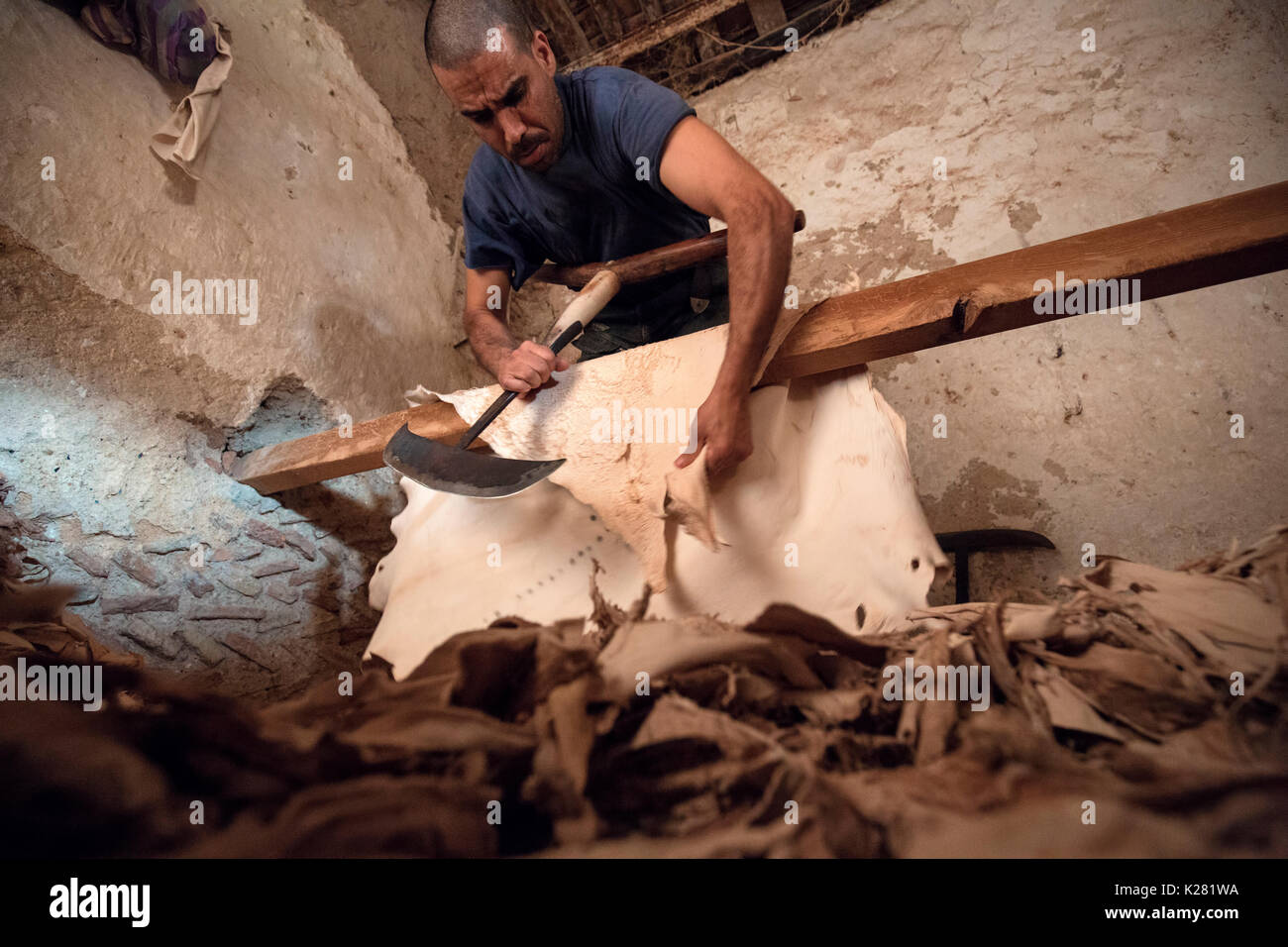 North Africa,Morocco,Fes district,Medina of Fes.Leather processing ...