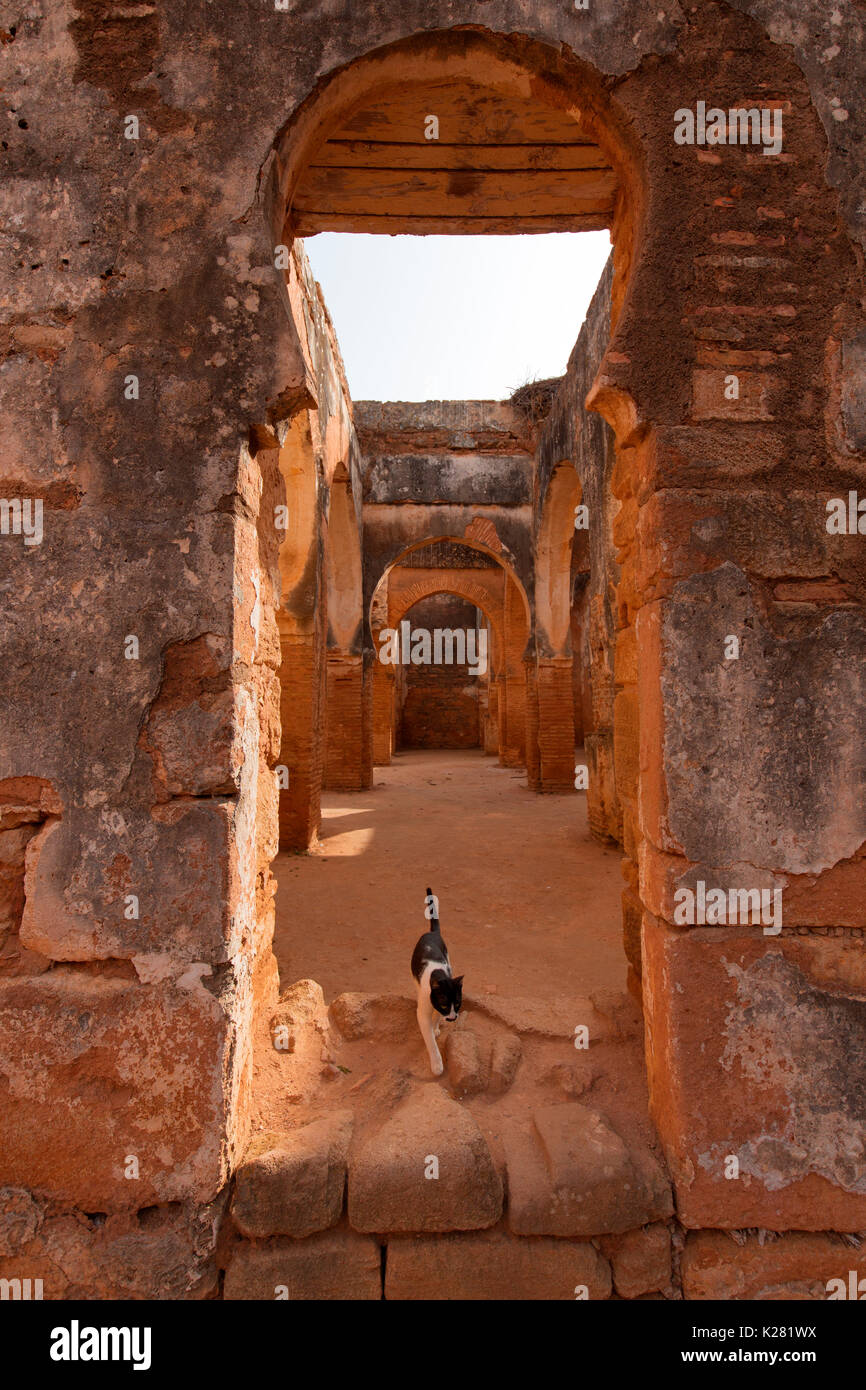 North Africa,Morocco,Rabat district. Archaeological site Chella Stock ...