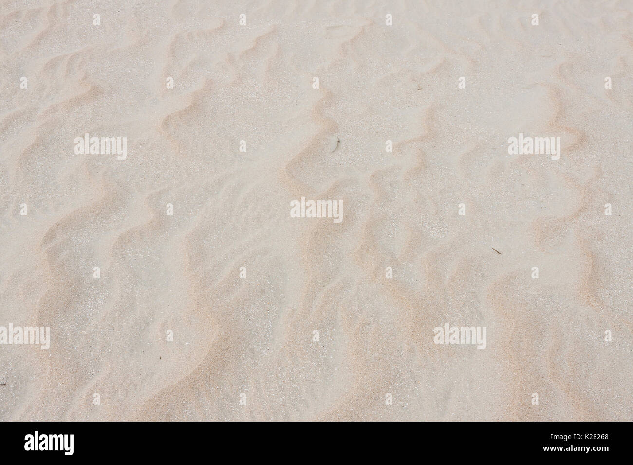 Natural background, sandy beach - Romo Island, Denmark Stock Photo - Alamy