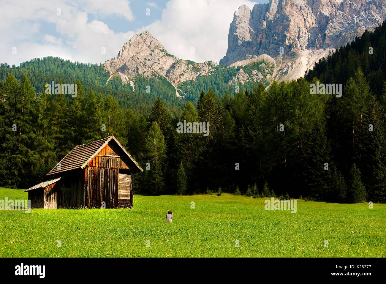 Europe,Italy,Veneto,Dolomities, Belluno district. Pusteria valley Stock ...