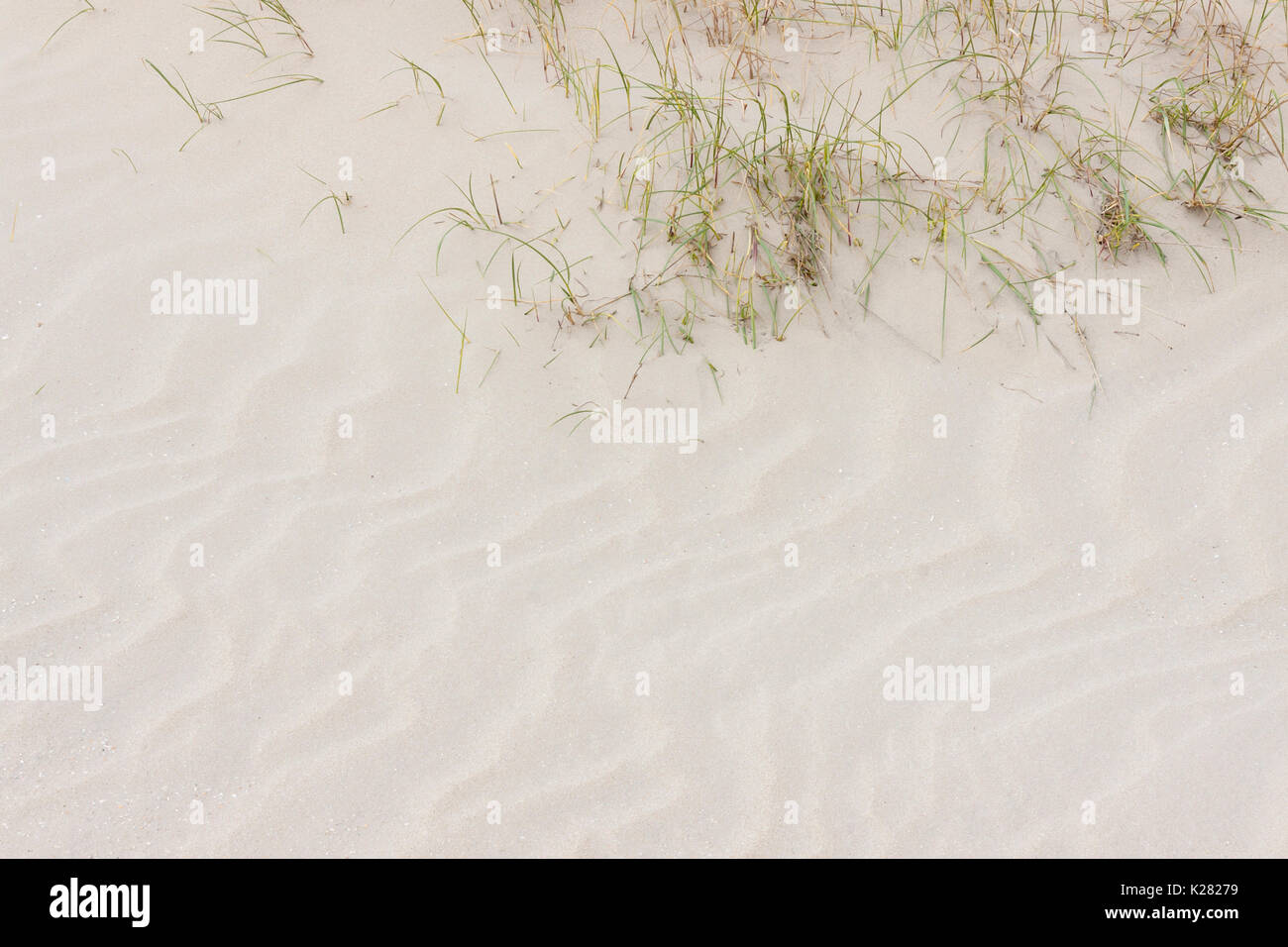 Natural background, sandy beach - Romo Island, Denmark Stock Photo - Alamy