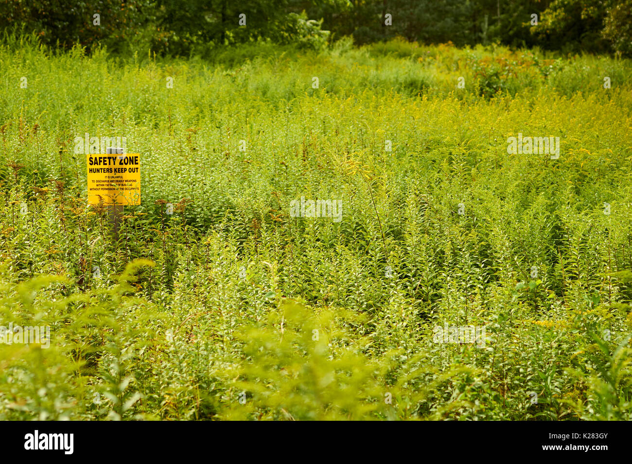 The Ghost Town of Centrailia, Pennsylvania, USA Stock Photo - Alamy