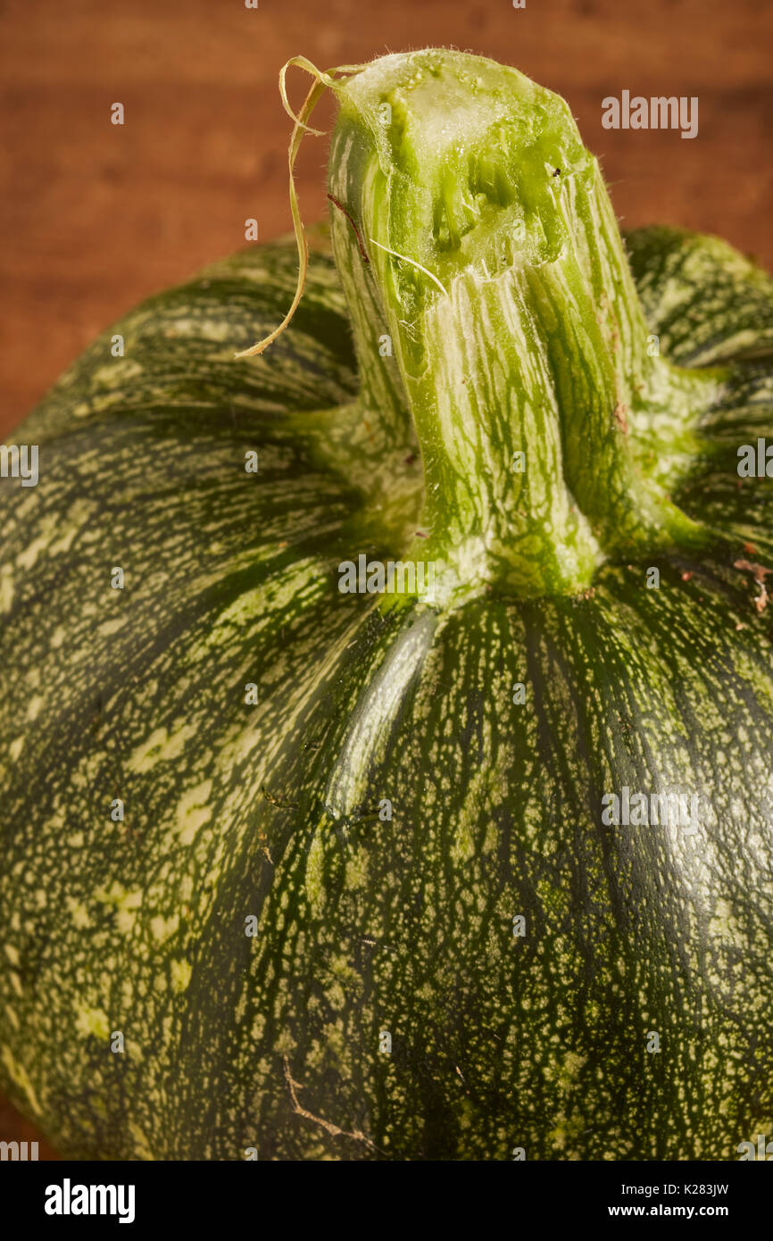 a whole round, raw summer squash, sometimes called a marrow Stock Photo ...