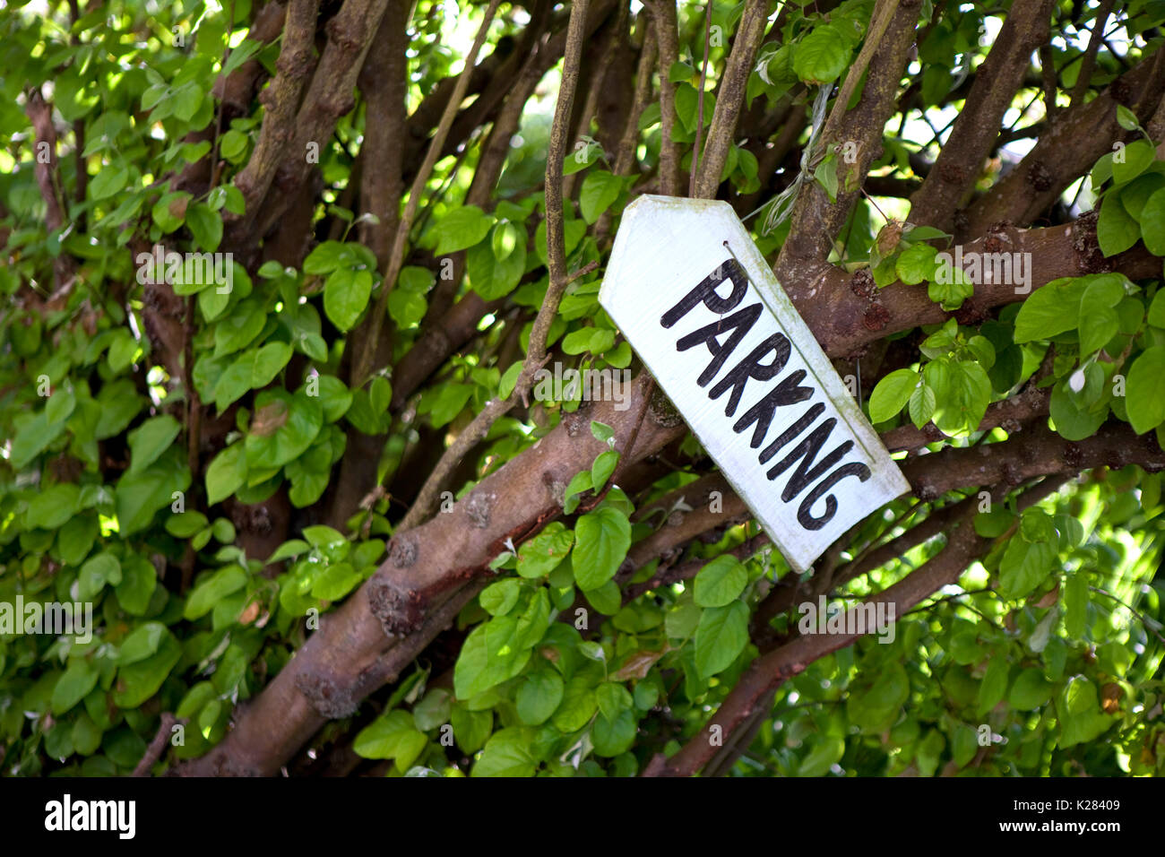 Parking sign hanging on trees in a garden Stock Photo - Alamy