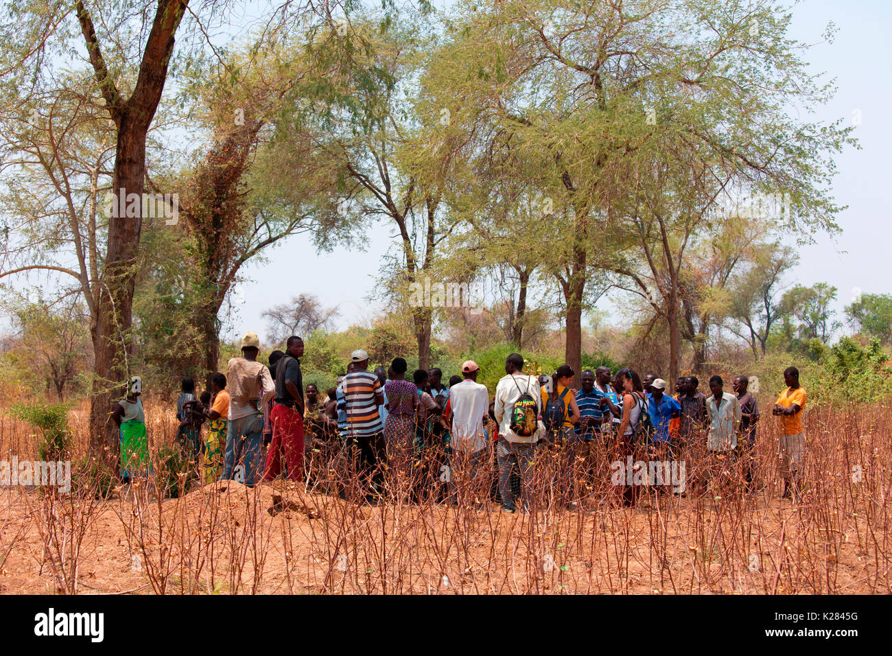 Balaka malawi hi-res stock photography and images - Alamy