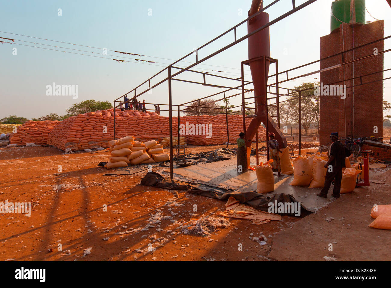 Separating seeds hi-res stock photography and images - Alamy