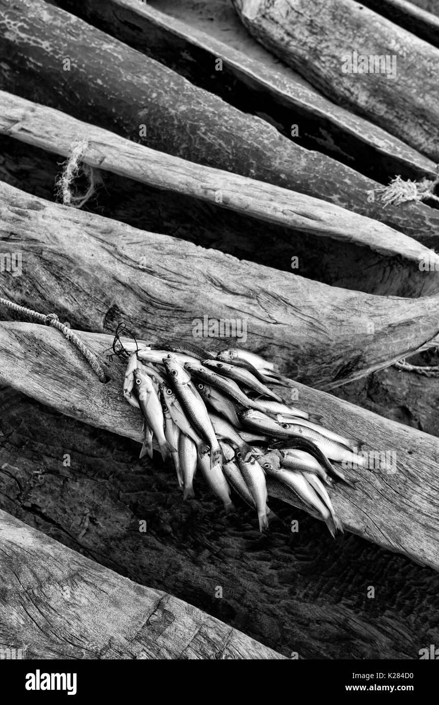 Salima District Fish Market At Lake Malawi High Resolution Stock ...