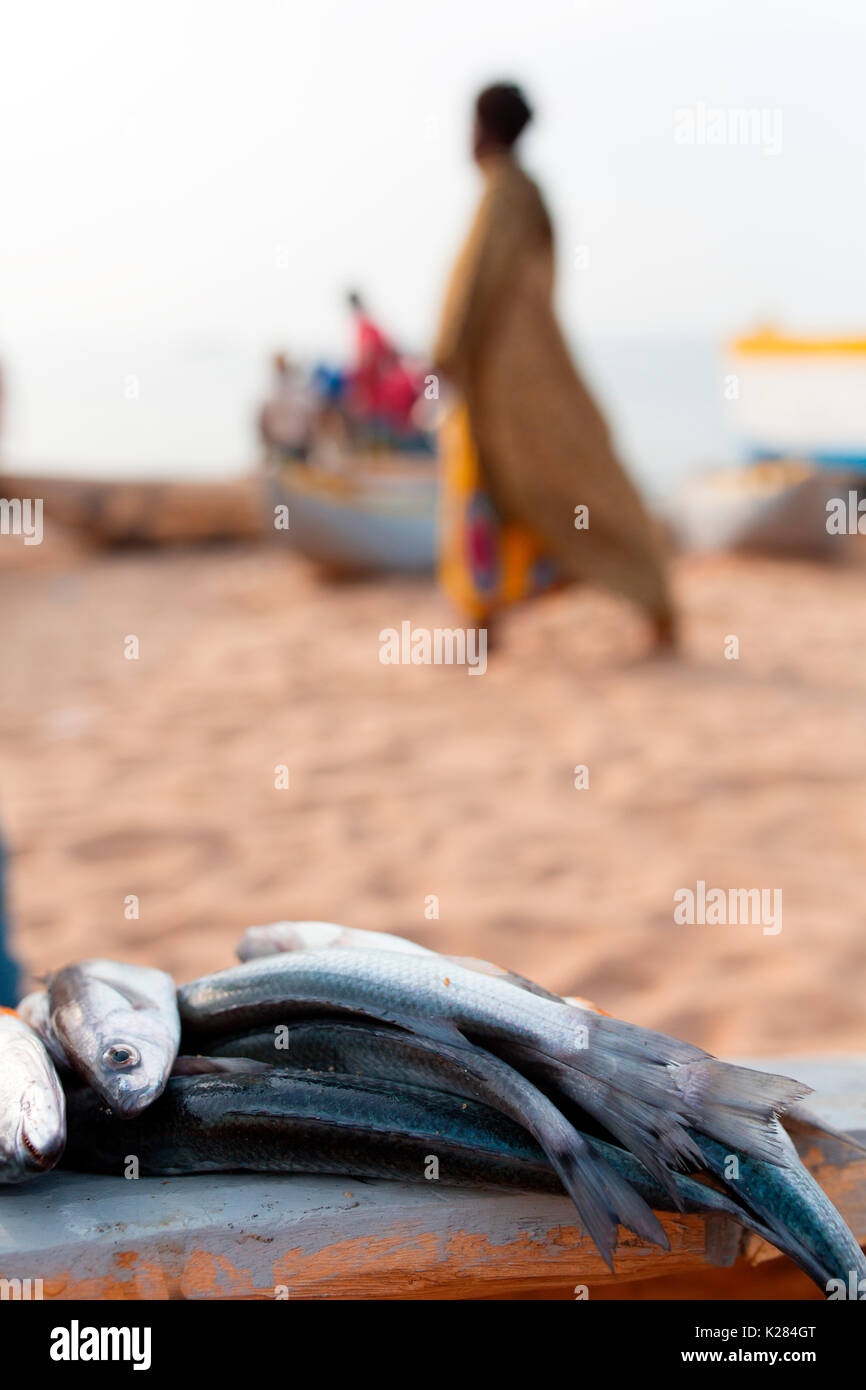 Salima District Fish Market At Lake Malawi High Resolution Stock ...