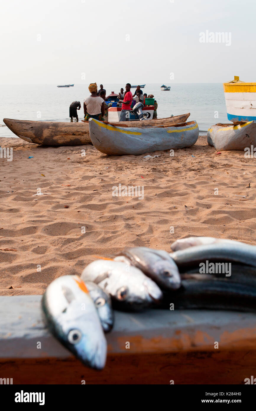 Salima District Fish Market At Lake Malawi High Resolution Stock ...