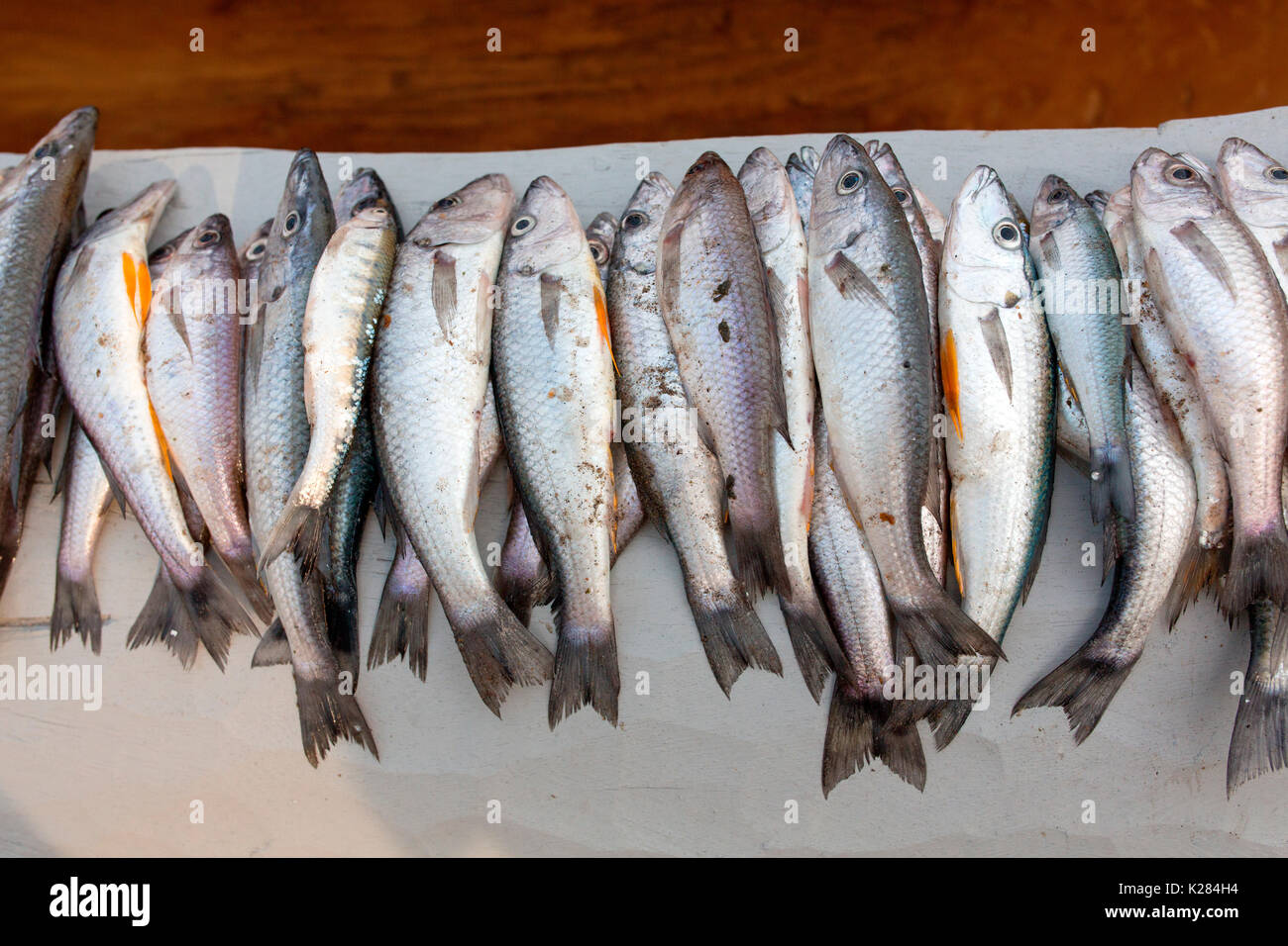 Salima District Fish Market At Lake Malawi High Resolution Stock ...