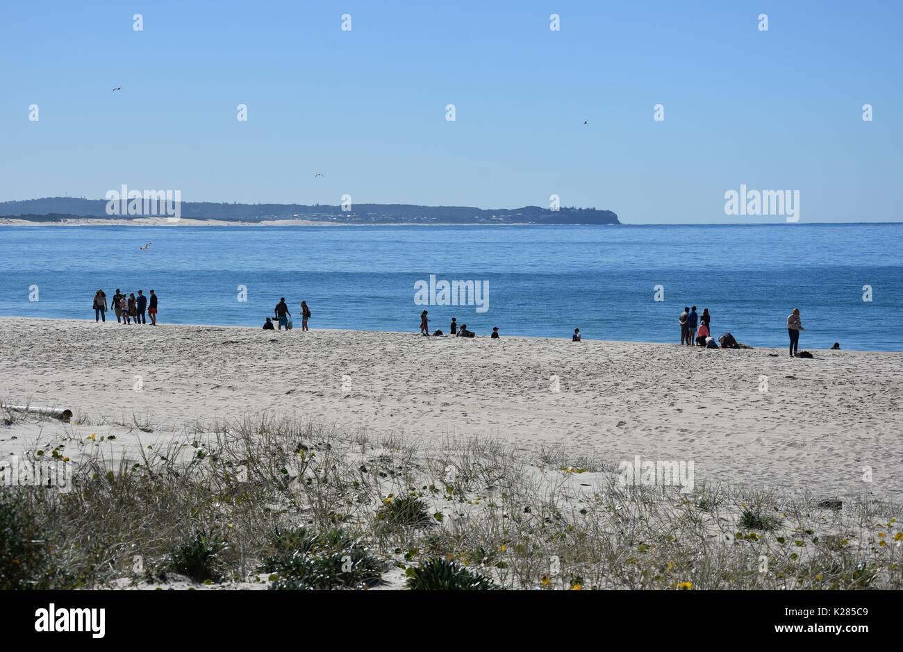 Blacksmiths beach hi-res stock photography and images - Alamy
