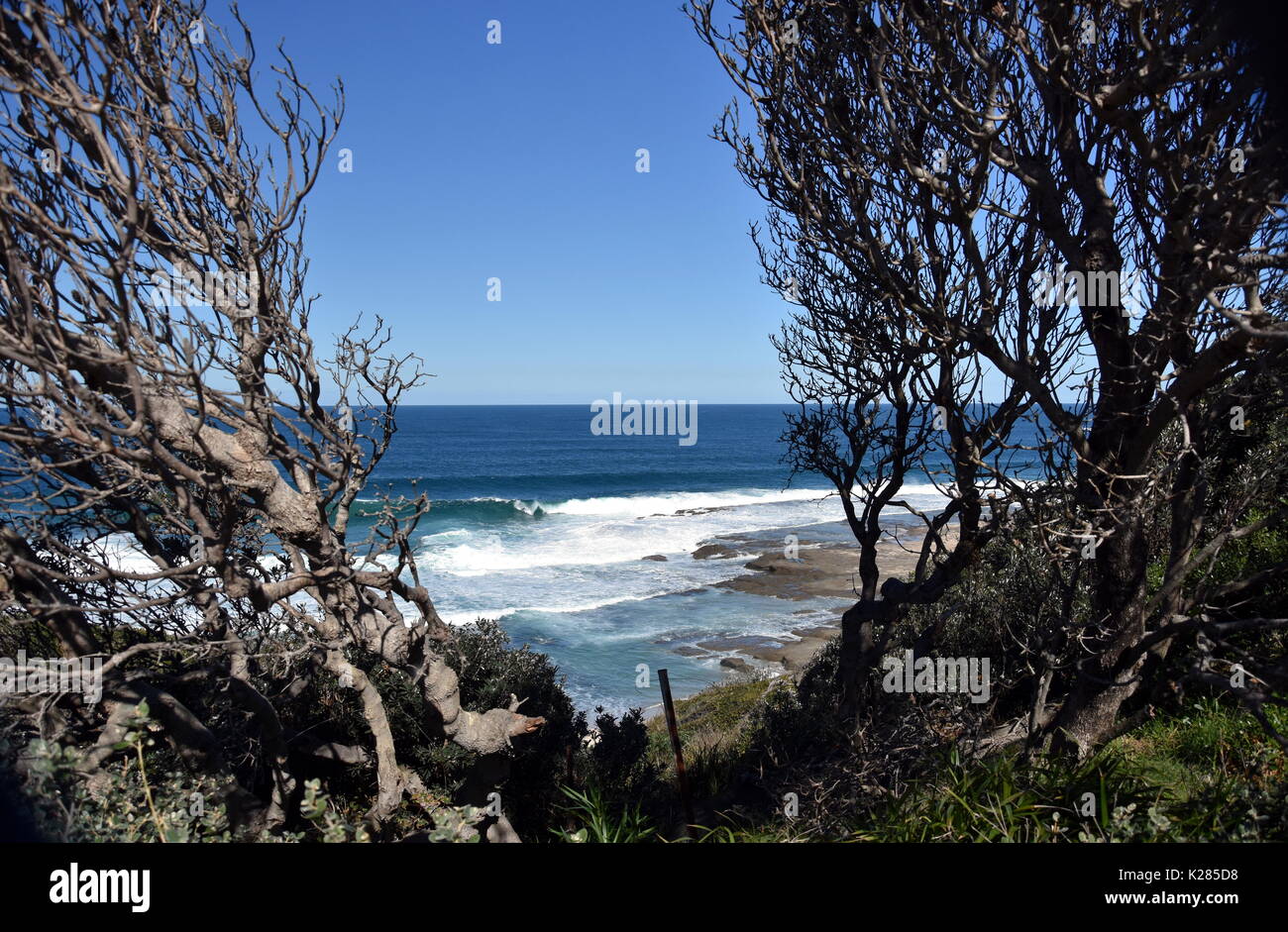 Norah Head beach on Central Coast is a great spot for surfing, fishing ...