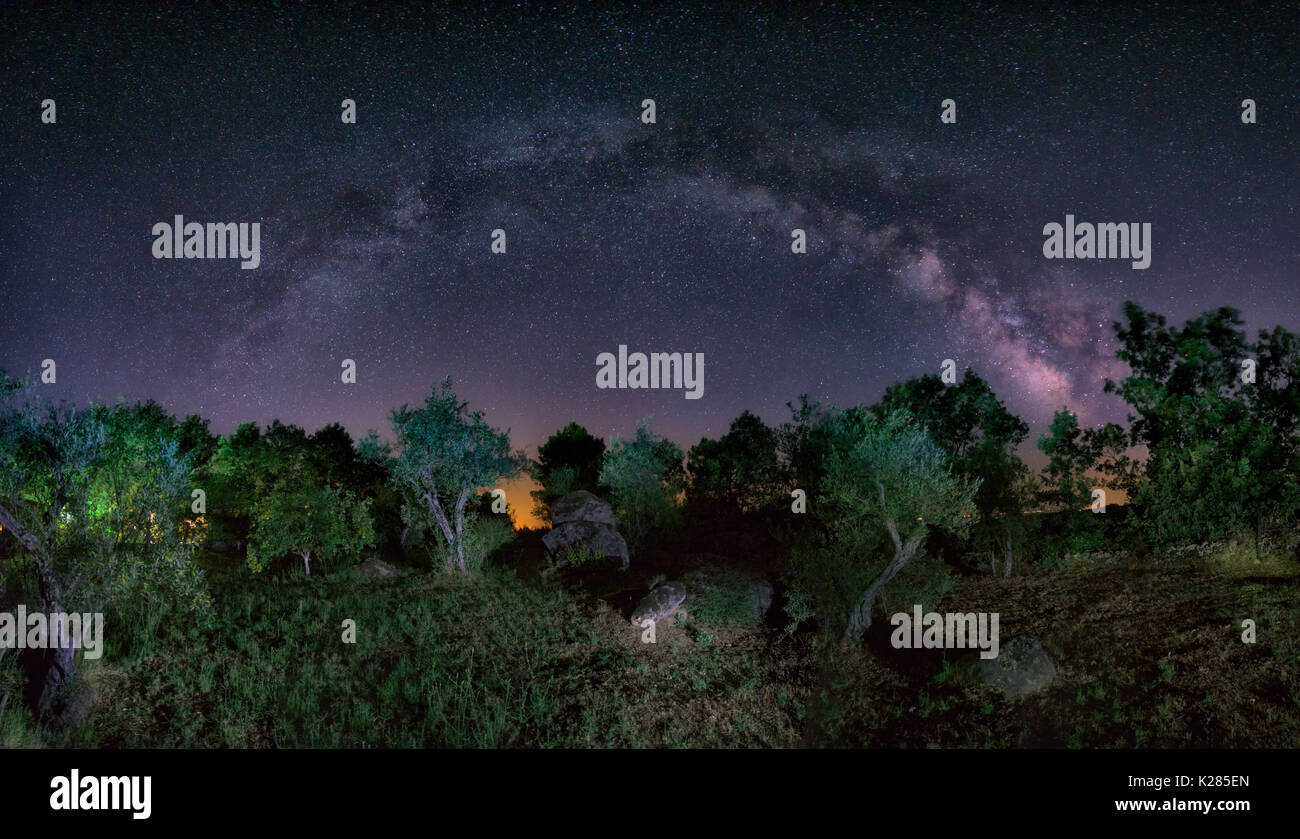 Milky way trees astrophotography hi-res stock photography and images ...