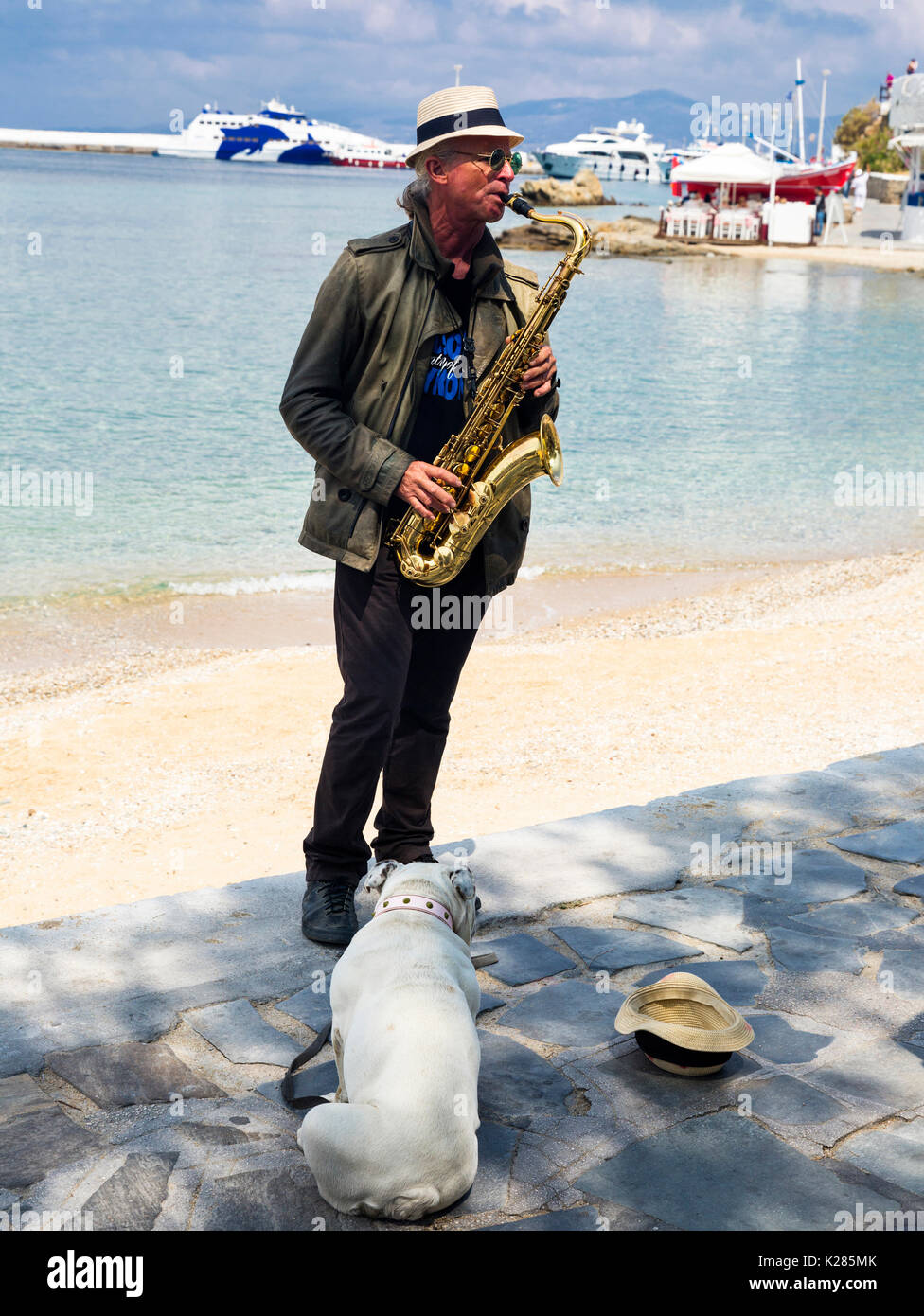 Man and dog busking at the beach, Mykonos, Greece Stock Photo - Alamy