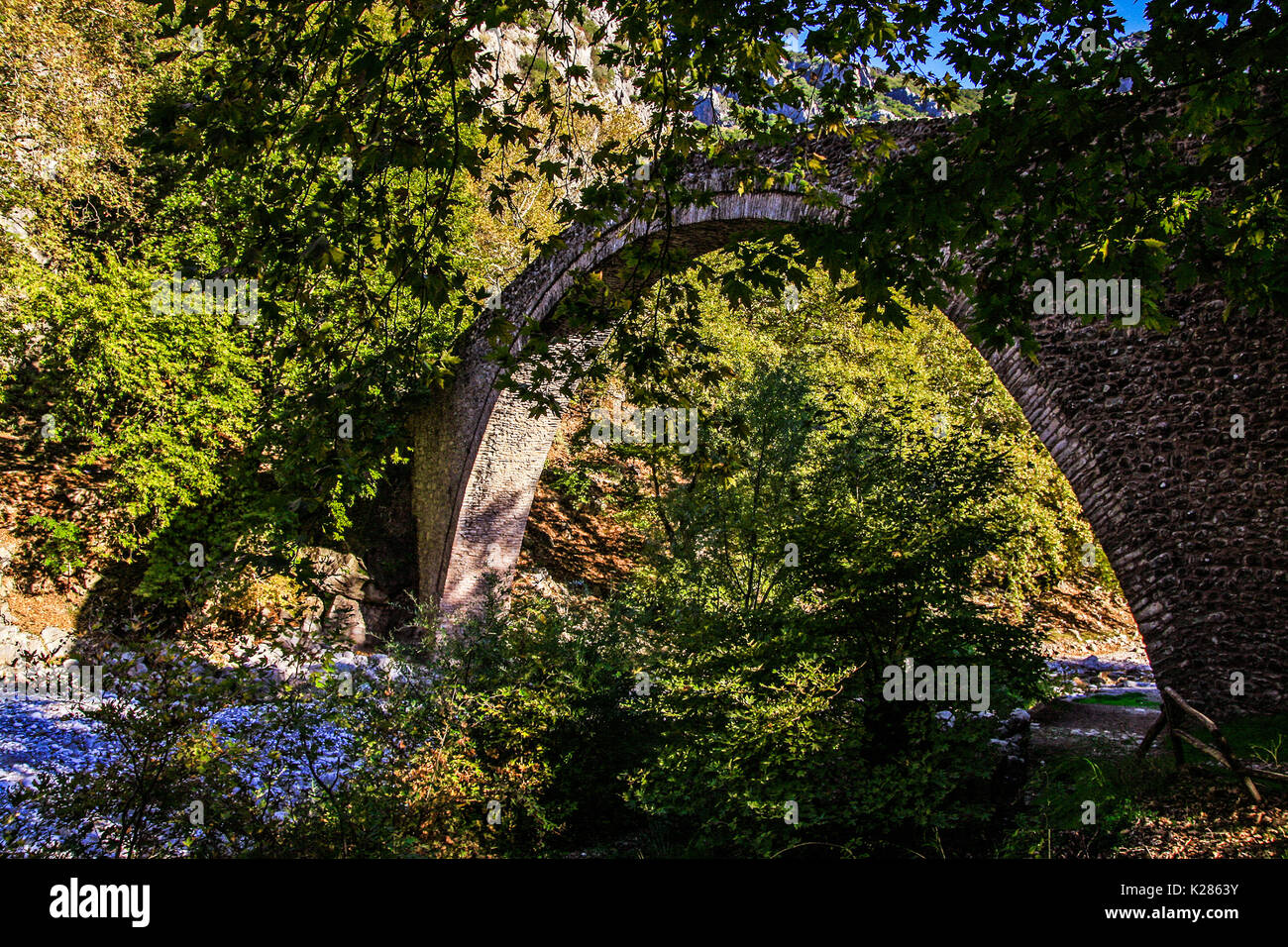 Trees medieval architecture hi-res stock photography and images - Alamy