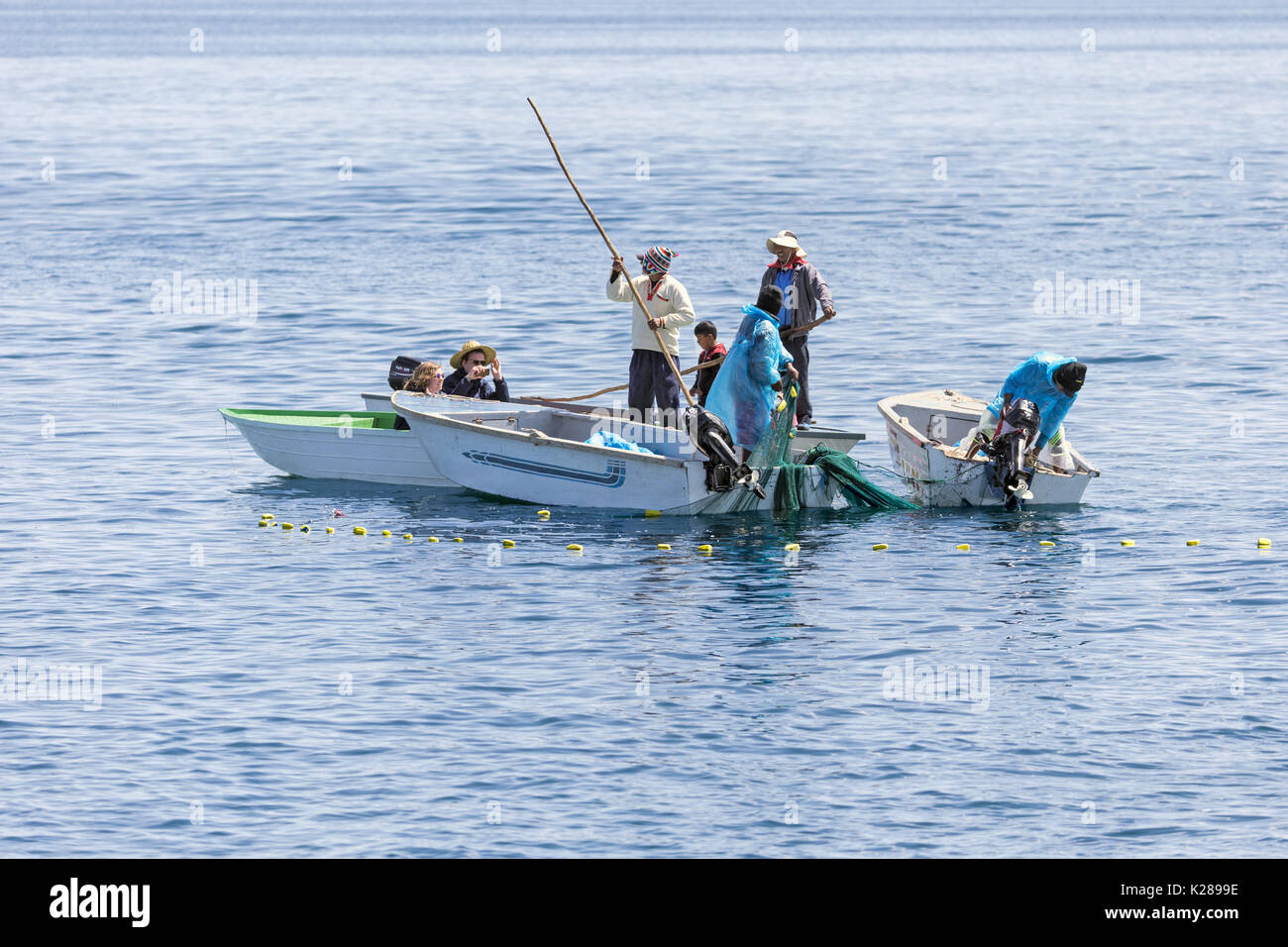 Lake titicaca fish hi-res stock photography and images - Alamy