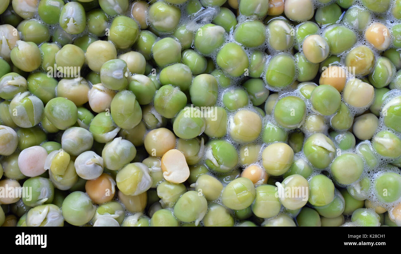 Soaked water hi-res stock photography and images - Alamy