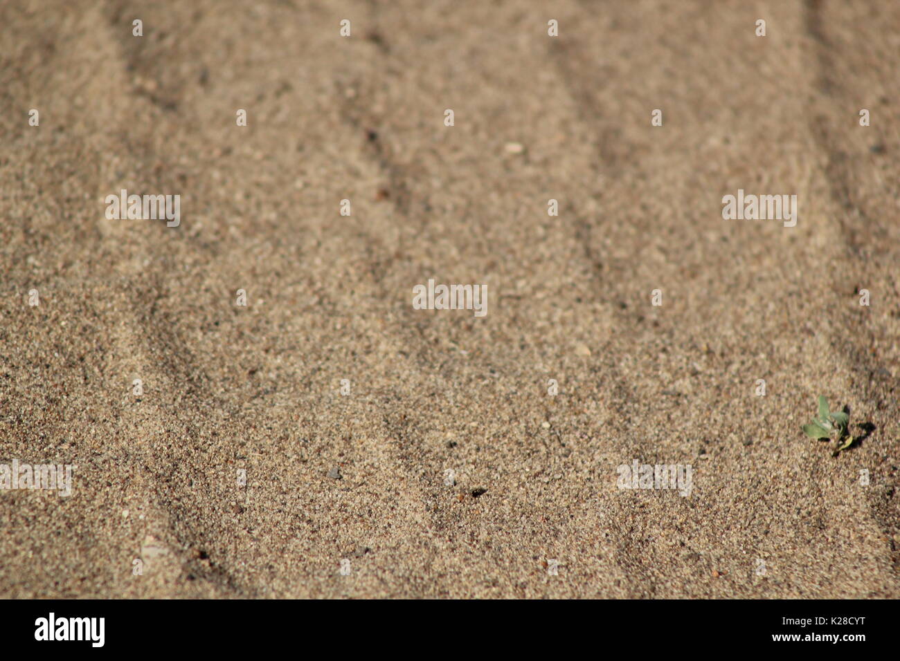Sand Texture - background for design Stock Photo - Alamy