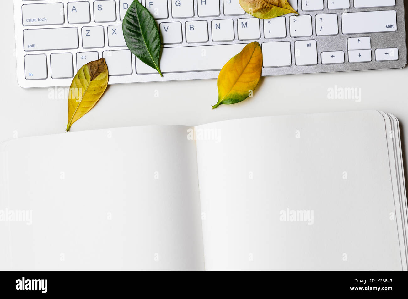Autumn workplace with fallen leaves, keyboard and notebook, view from ...