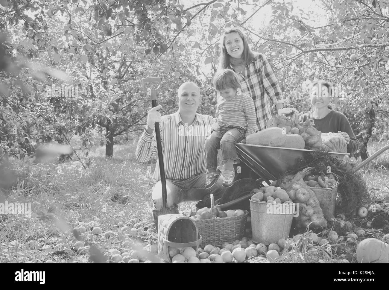 Happy family with harvest in vegetable garden Stock Photo - Alamy