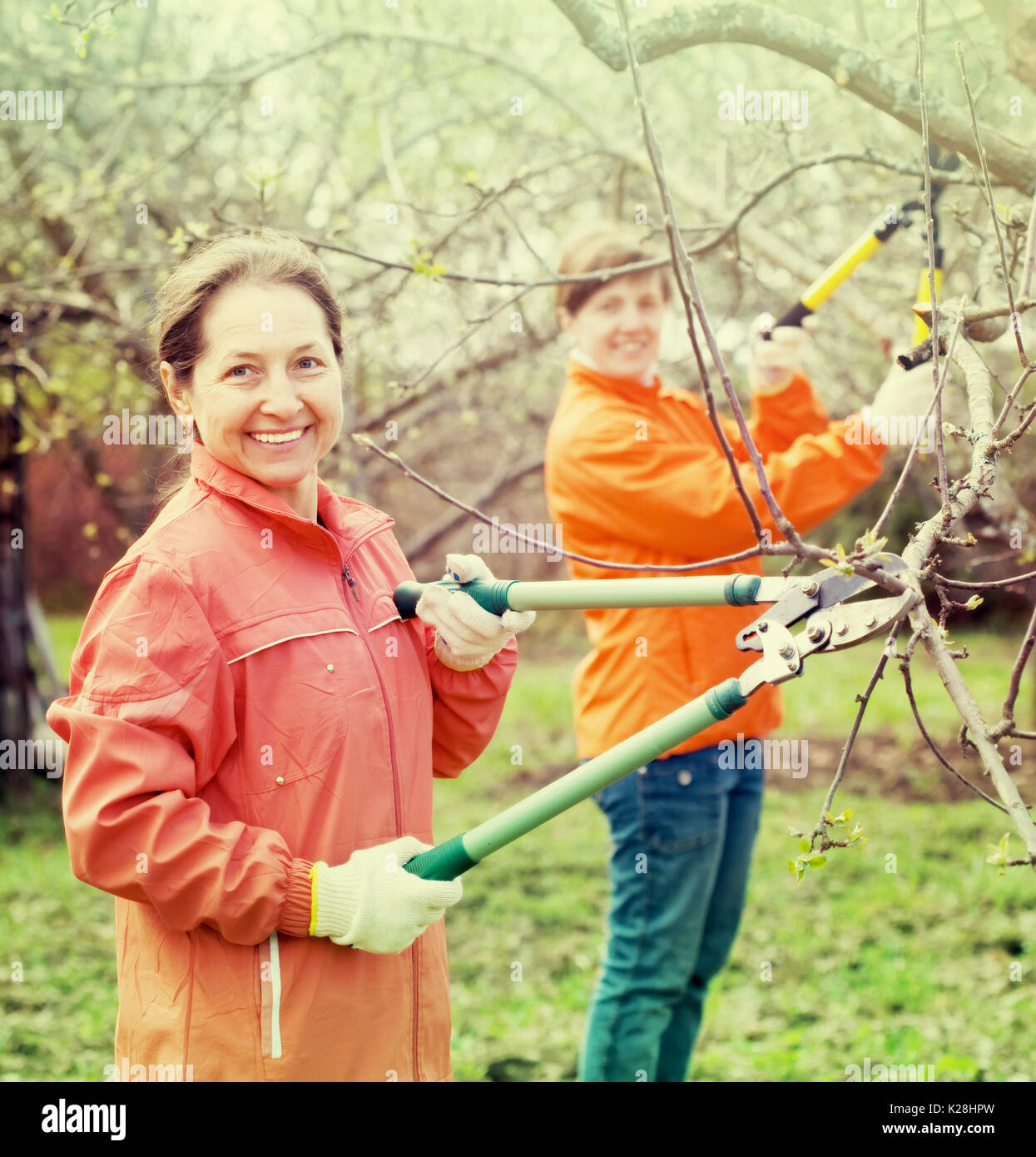 Pruning hook hi-res stock photography and images - Alamy