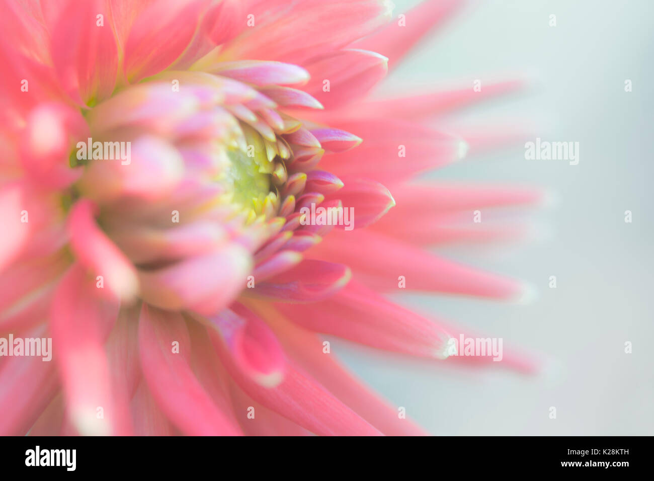 Washed Out Colour High Resolution Stock Photography and Images - Alamy
