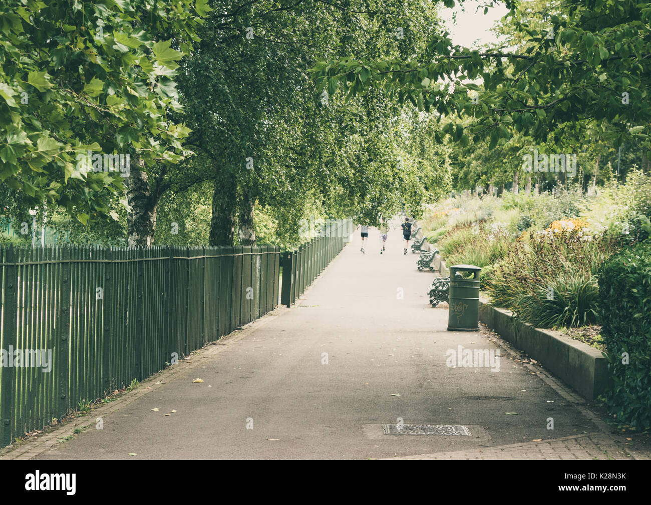 The male joggers in the distance running in the The Forest Recreation ...