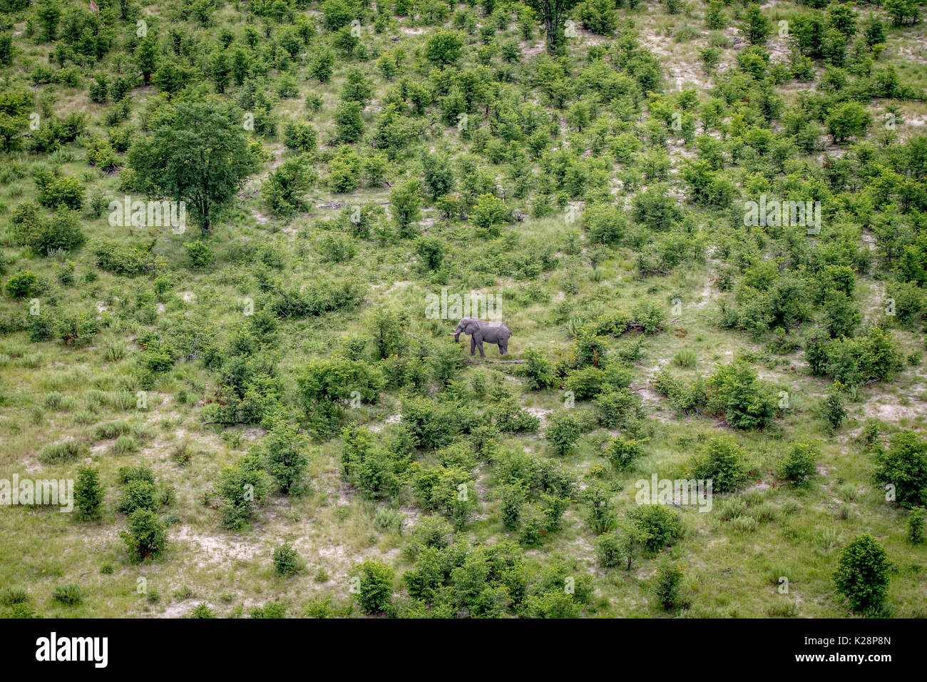 Elephant island aerial hi-res stock photography and images - Alamy