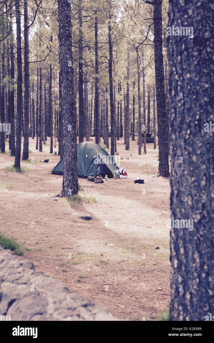 Small tent in woods Stock Photo - Alamy