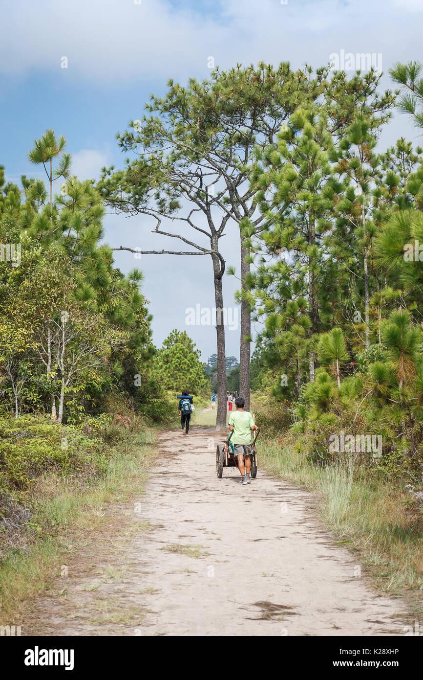 Porter push the cart that carry luggage Stock Photo - Alamy