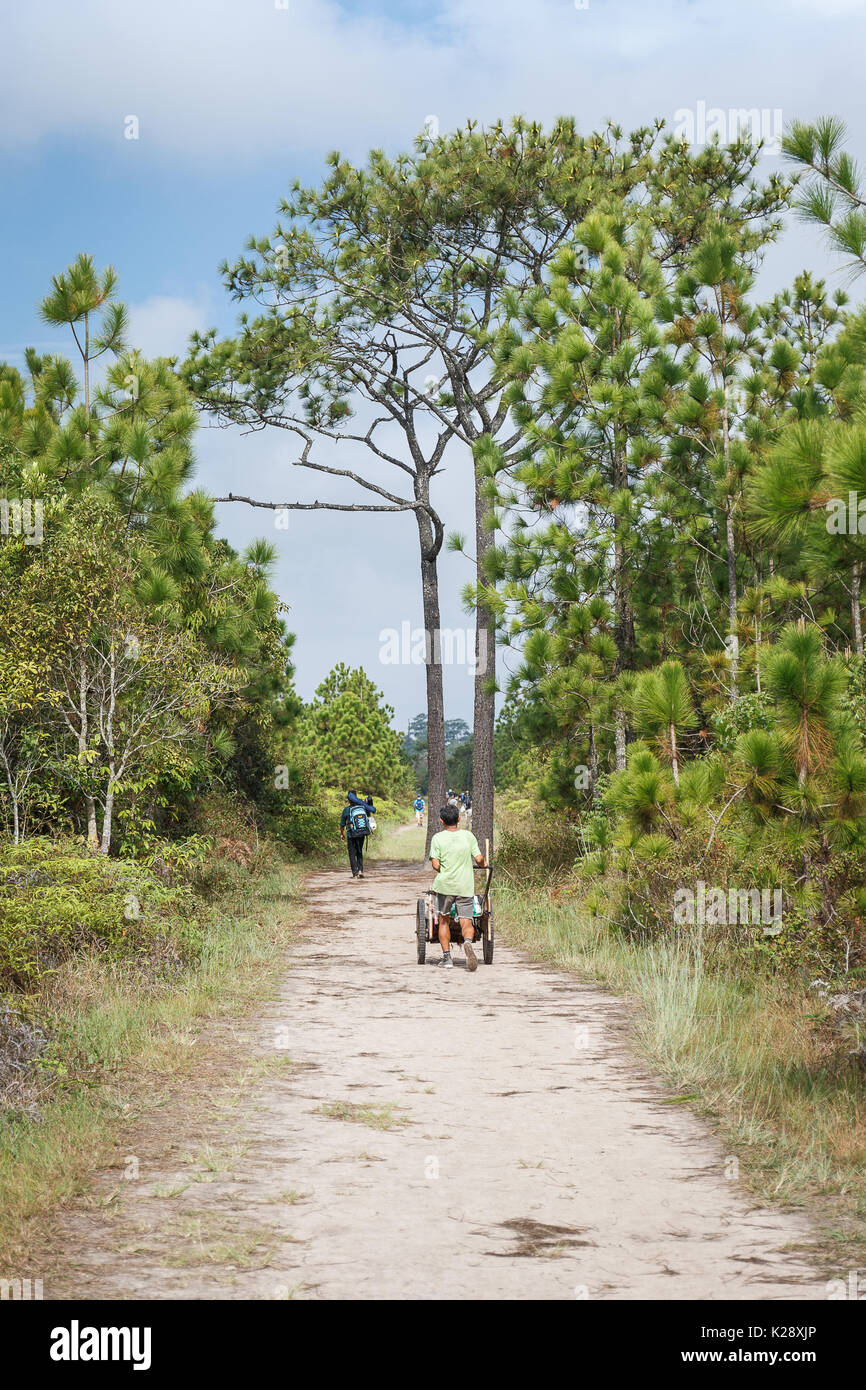 Porter push the cart that carry luggage Stock Photo - Alamy