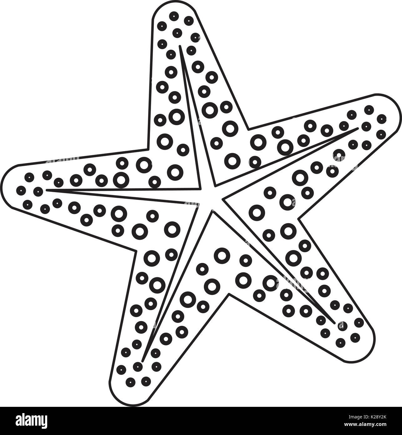 Aqua star Black and White Stock Photos & Images - Alamy