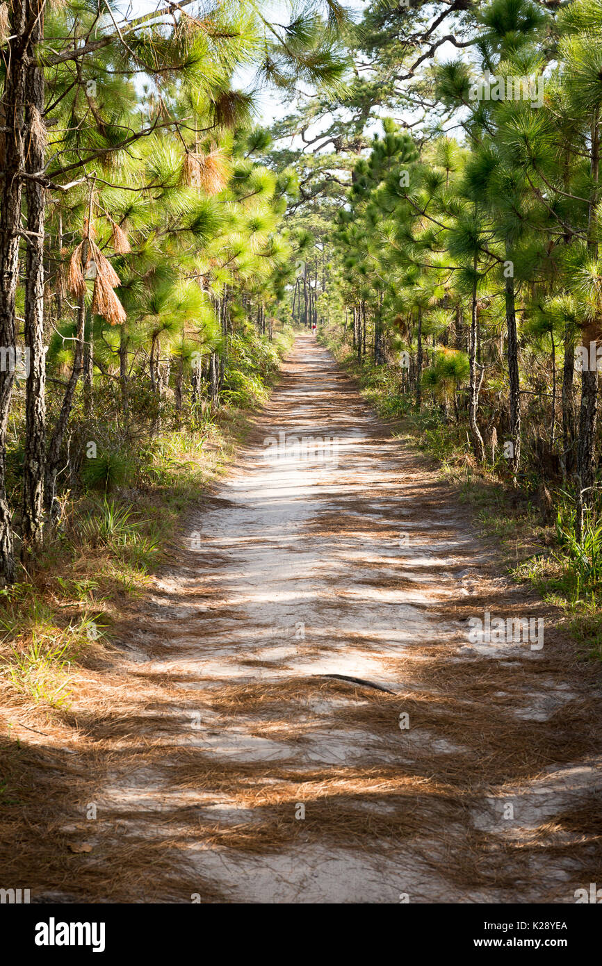 Green grass beside garden path hi-res stock photography and images - Alamy