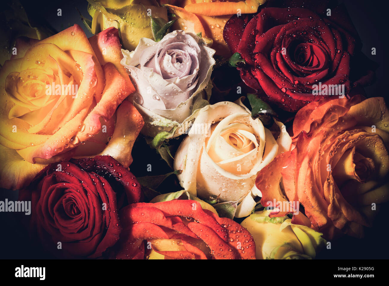Forgiveness flowers hi-res stock photography and images - Alamy