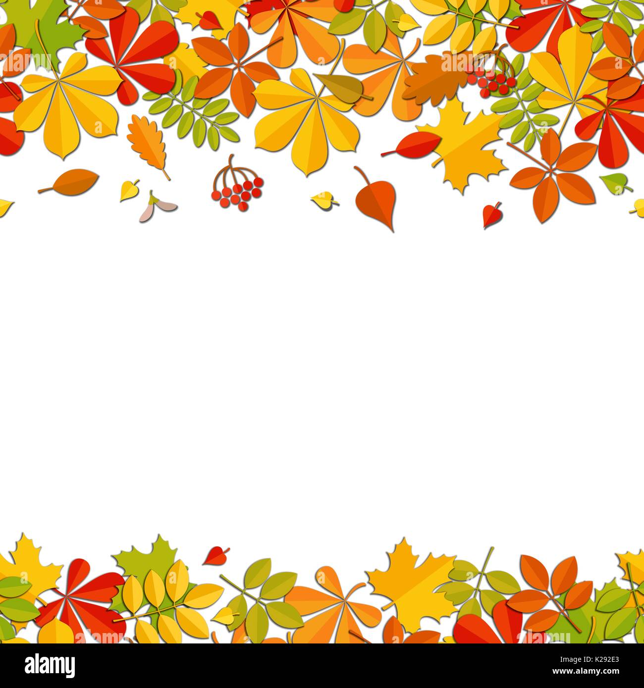 Seamless border autumn falling leaf isolated on white background Stock ...