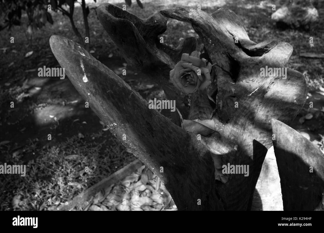 Conception day Black and White Stock Photos & Images - Alamy