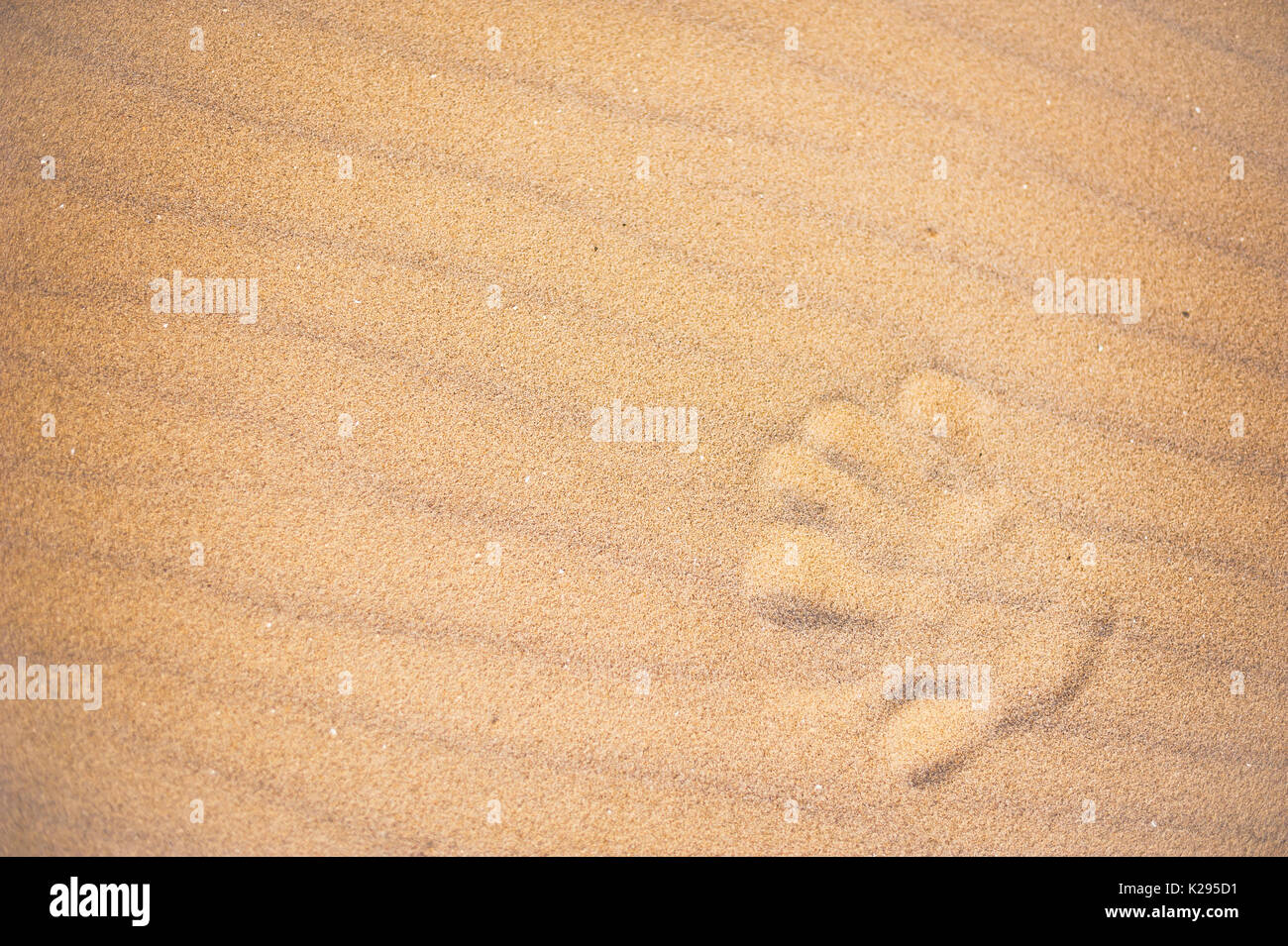 Hand print in the sand of a beach Stock Photo - Alamy