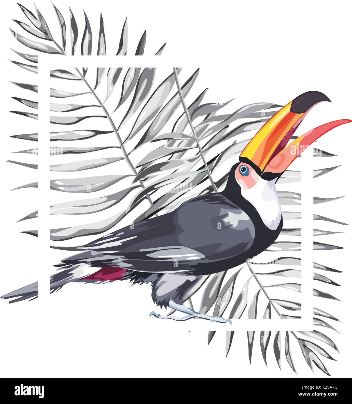 Toucan with tropical leaf. Element for design of invitations, movie ...