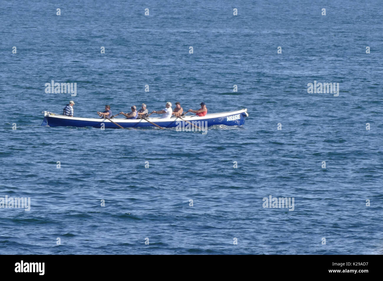 Coastal rowing team hi-res stock photography and images - Alamy