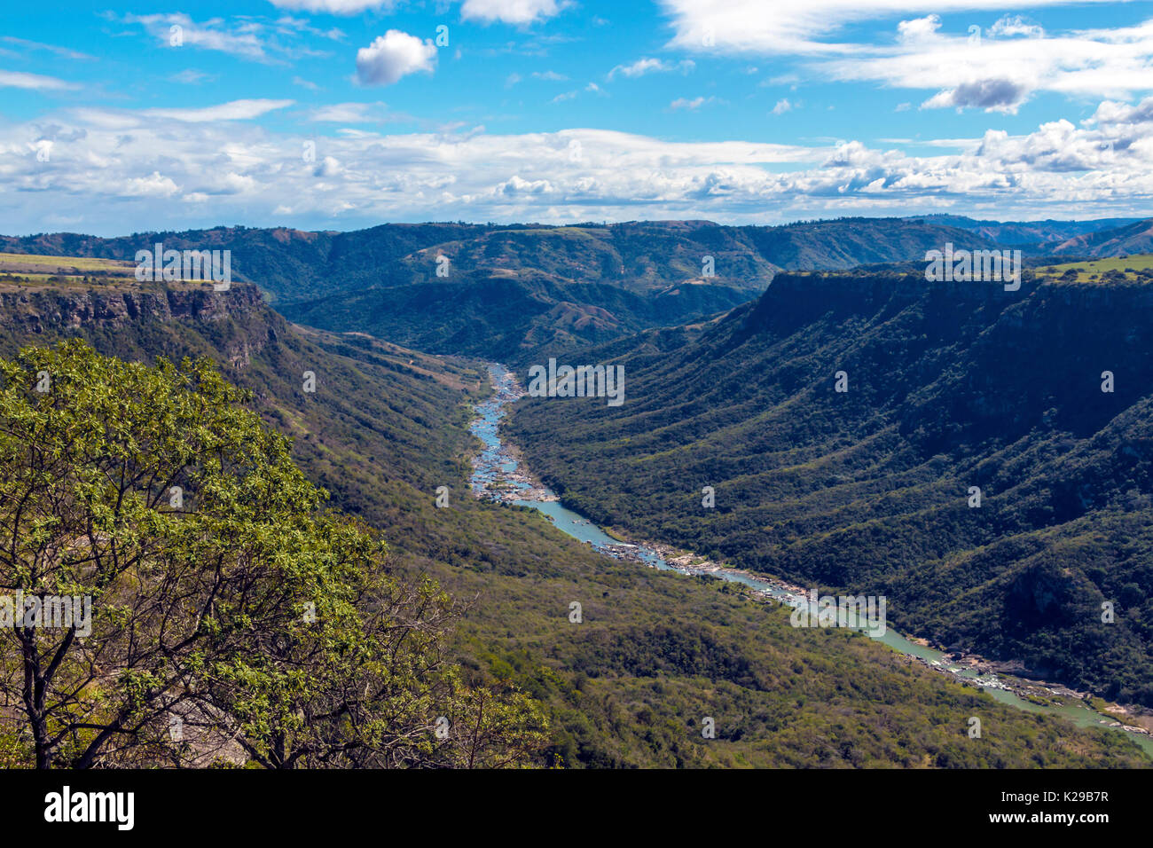 Landscape view of Unzimkulwana river flowing through winter vegetation lined valley at Oribi ...