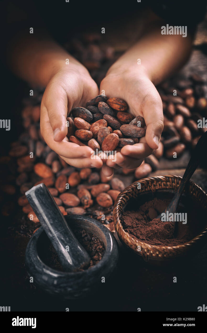 Hand holding aromatic cocoa beans, closeup Stock Photo - Alamy