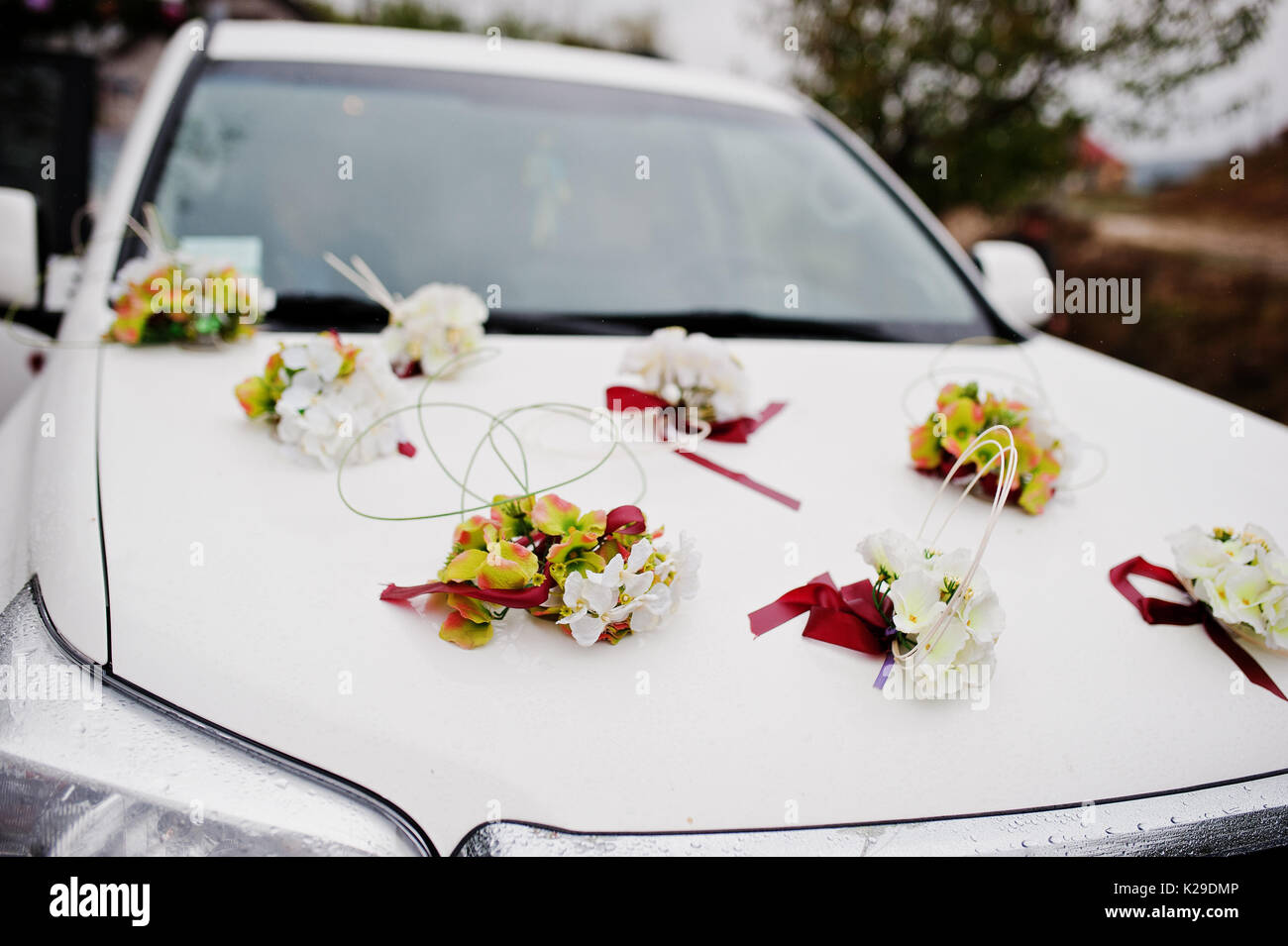 Close-up photo of a car bonnet decorated with flowers for wedding Stock ...