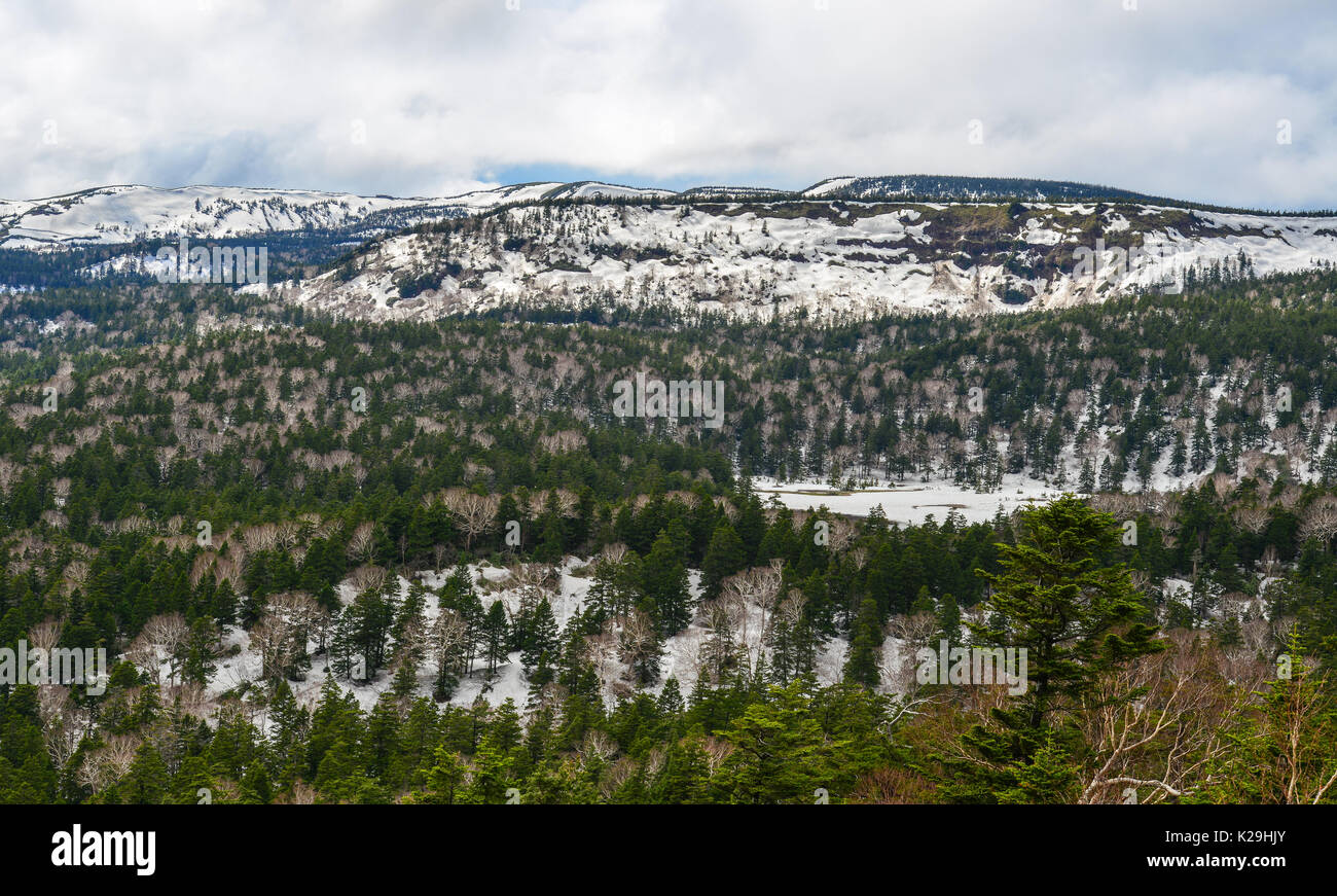 View of Mount Iwate with pine forest at summer in Tohoku, Japan. Mount ...