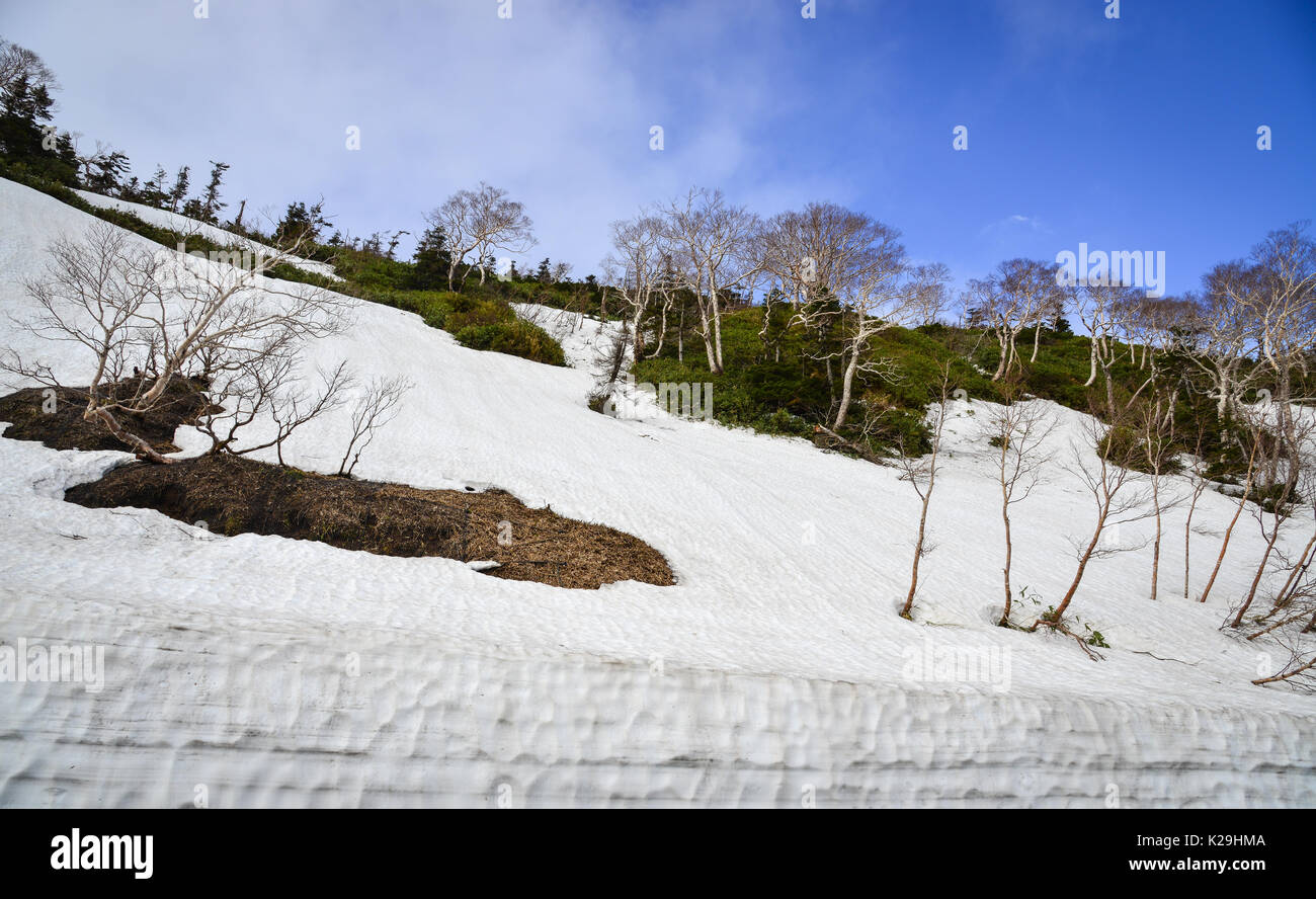 Snow on Mount Iwate at summer in Tohoku, Japan. Mt Iwate (2038 m) is the highest mountain in ...