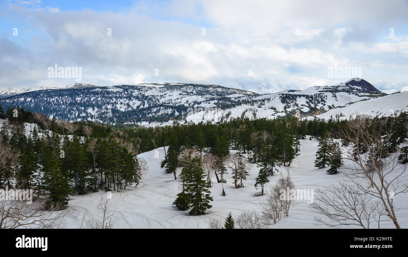View of Mount Iwate at summer in Tohoku Japan. Mt. Iwate is a conically ...