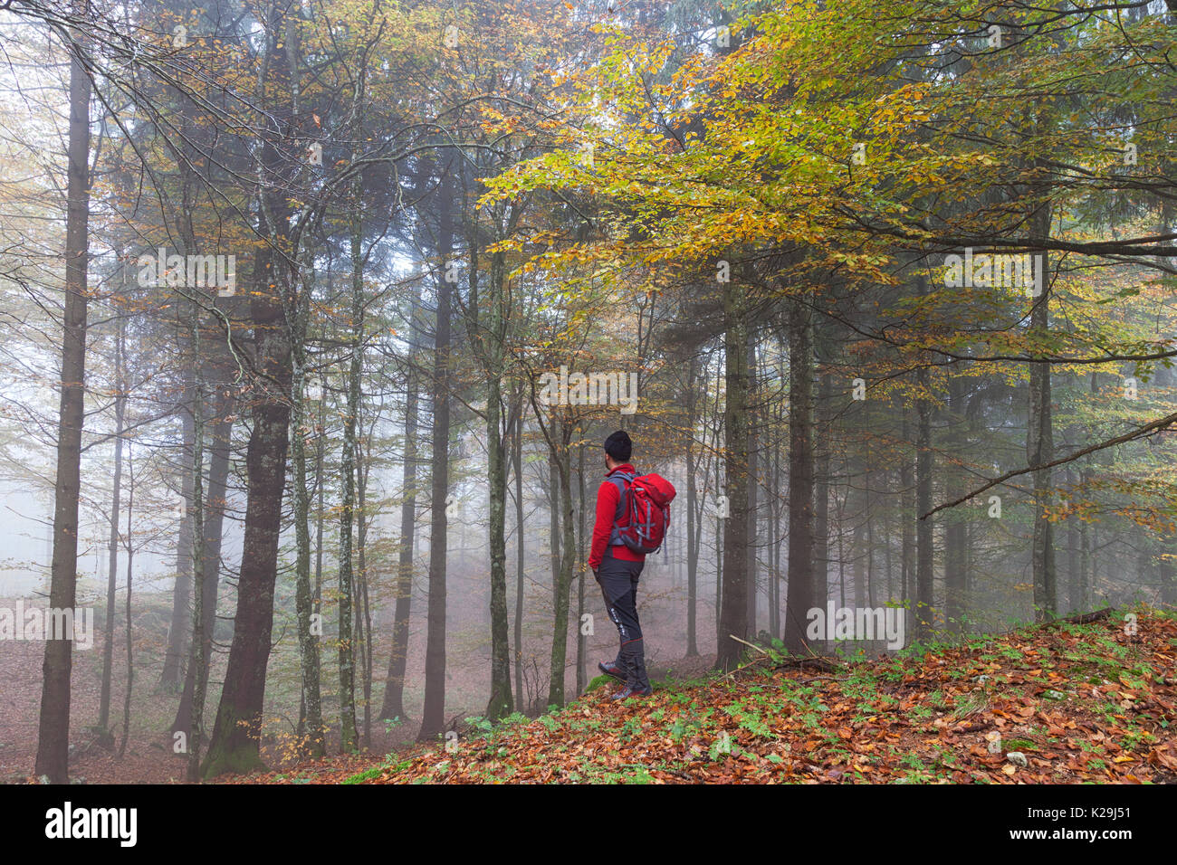 Fregona hi-res stock photography and images - Alamy