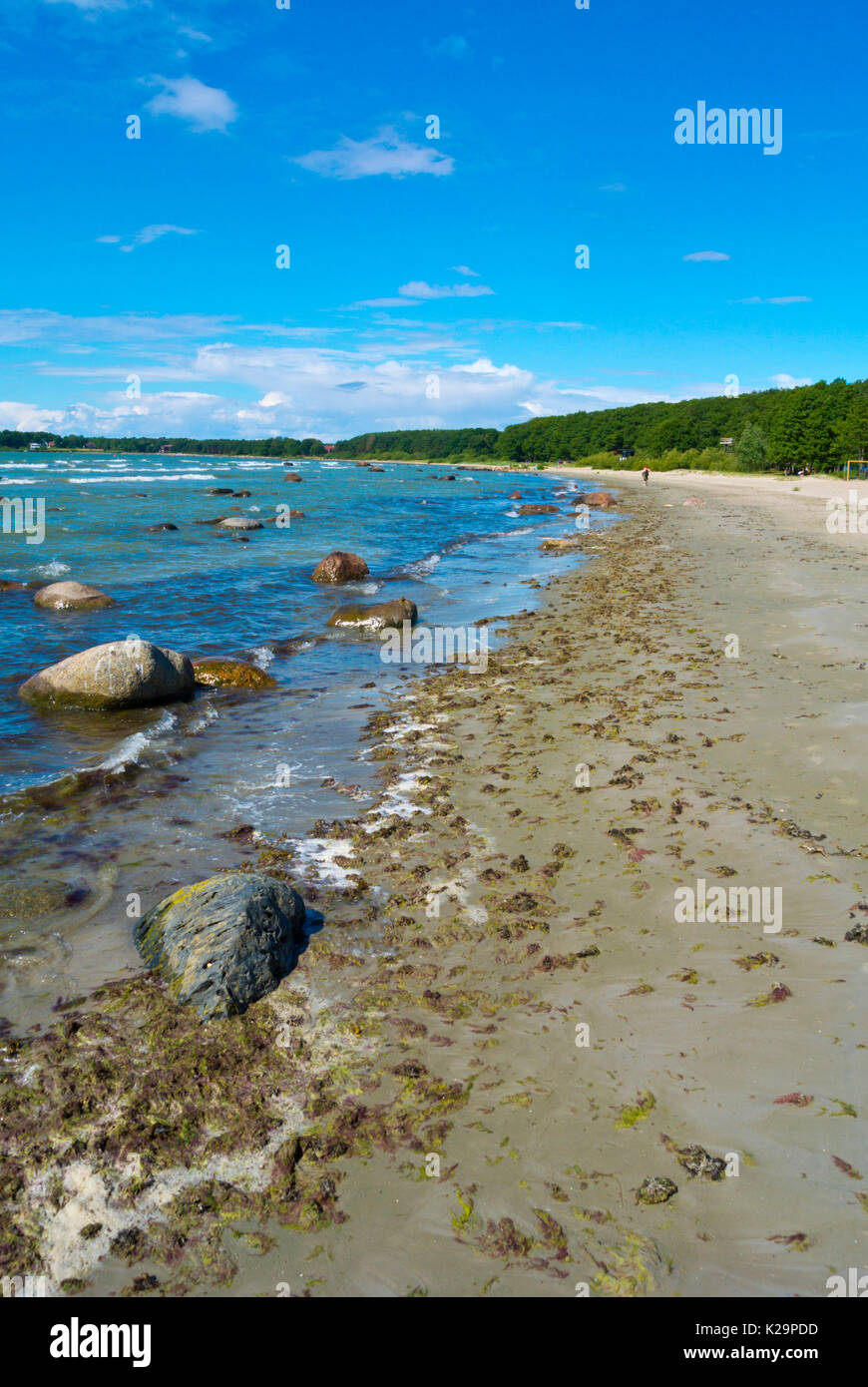 Haabneeme Rand, Haabneeme beach, Viimsi, near Tallinn, Estonia Stock ...