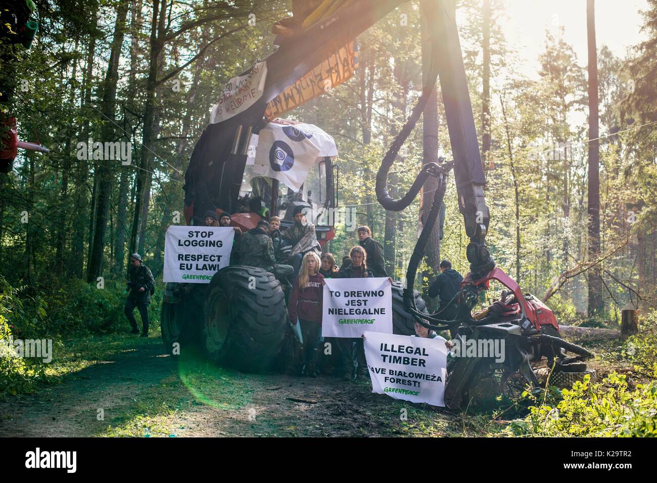Bialowieza, Poland. 29th Aug, 2017. Protesters block logging operation ...