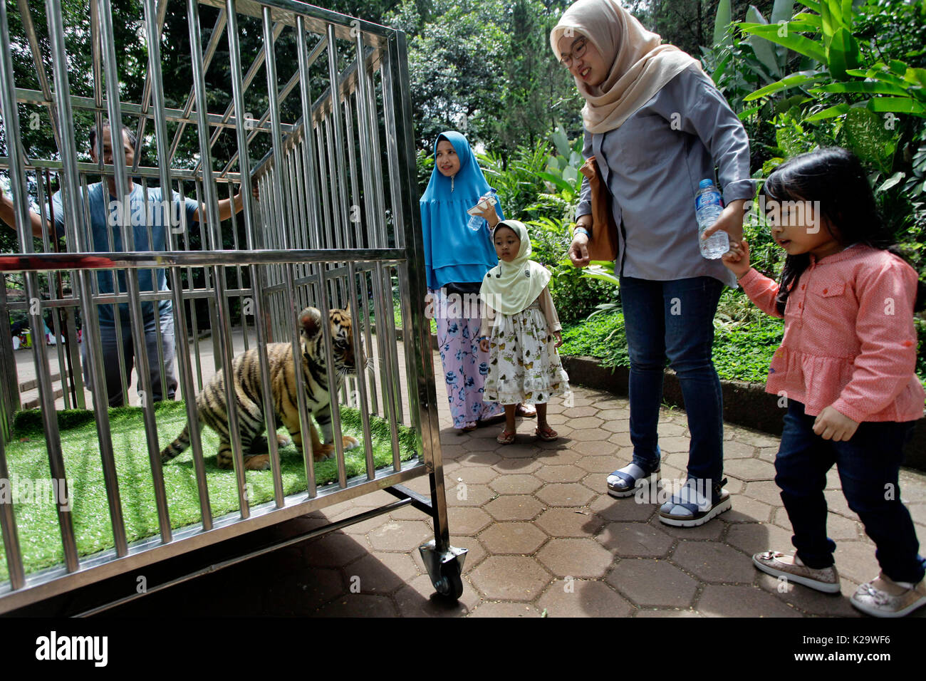 Bandung, Indonesia. 29th Aug, 2017. Visitors watch a cub of Bengal ...
