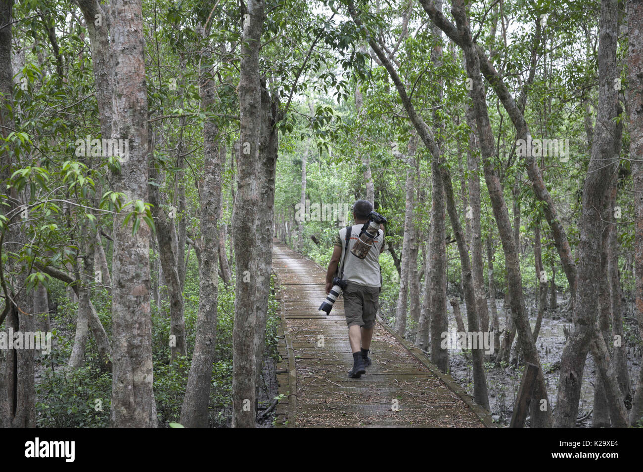 Khulna, Sundarban, Bangladesh. 12th Aug, 2017. August 13, 2017- Khulna ...